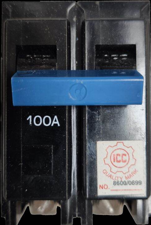 100A 2 Pole Circuit Breaker Plug-in Type ( Taiyou), 100A 2P Circuit ...