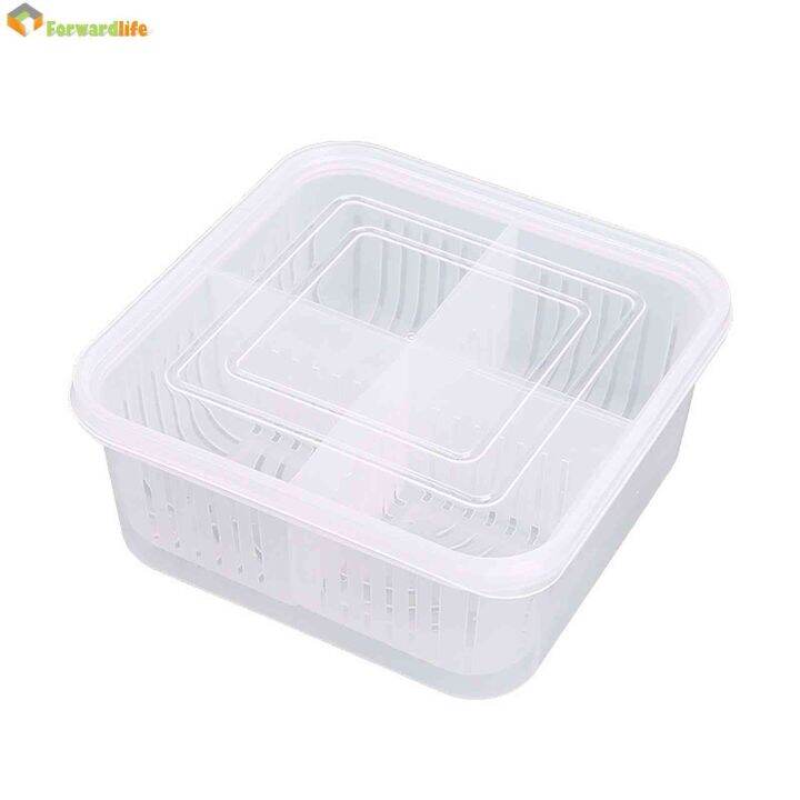 Food Storage - Fridge Divided Container to Storing Chopped Green Onion ...