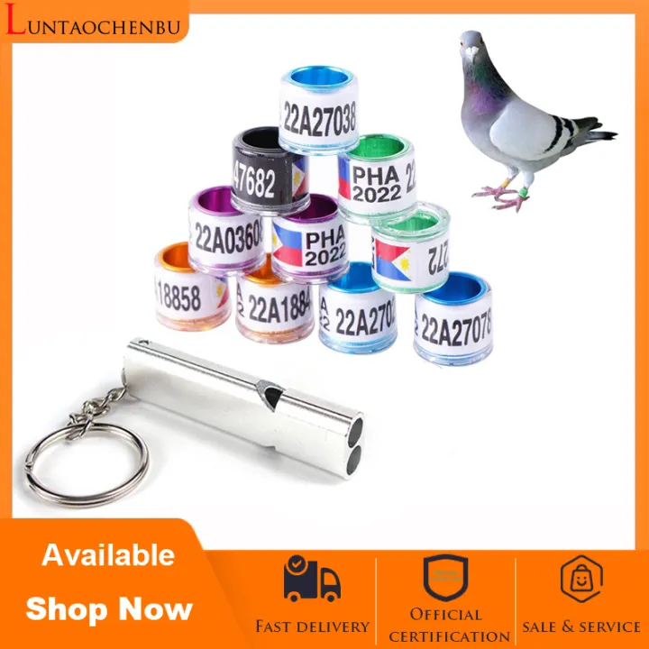Fake Pigeon Toys 20 Pcs Realistic Fake Pigeon Figures - Mini White Bird ...