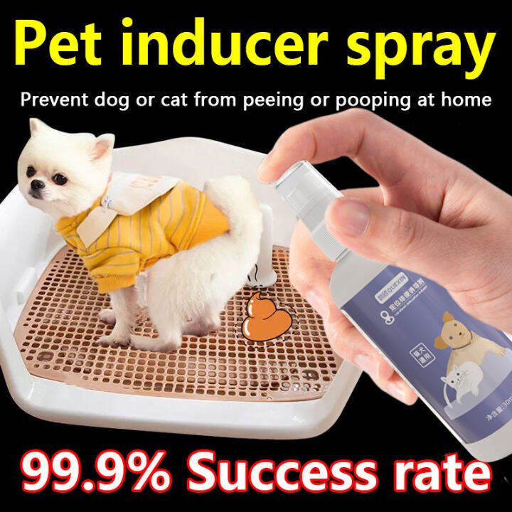 100ml Pet Defecation Inducer Potty Spray Training Dog Pet Pee Inducer ...