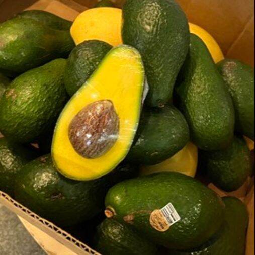 [SUMO WELL] Premium Jumbo Avocado from Australia [Redeem in Store ...