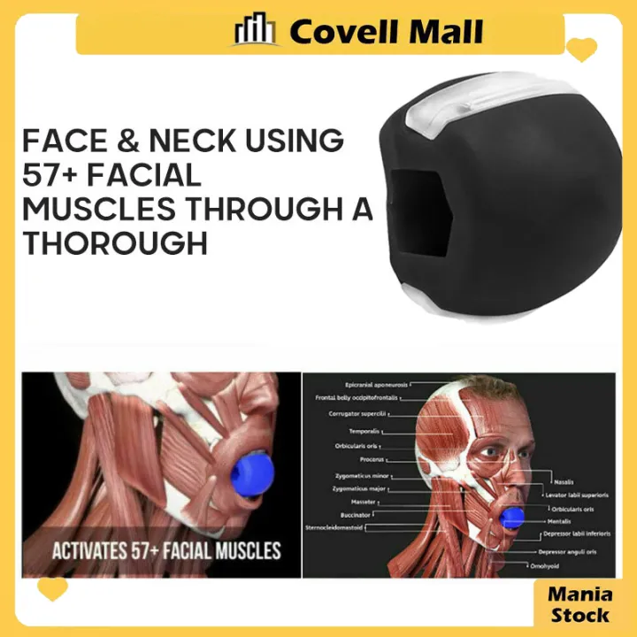 Jaw Trainer Ball JawLine Exerciser Ball jawrsize line chew ball ...