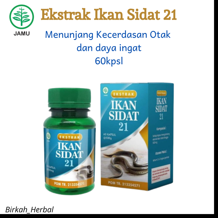 Kapsul Ekstrak Ikan Sidat 21 Isi 60 KAPSUL SIDAT KAYA DHA POM TR ...