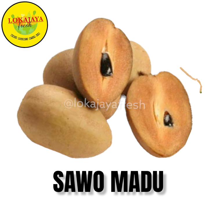 buah sawo madu 1 kg | Lazada Indonesia