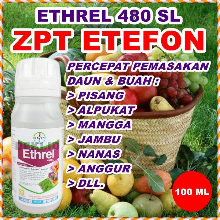 Ethrel 100 ML Etefon 480 SL ZPT Zat Pengatur Tumbuh Tanaman Pematang ...