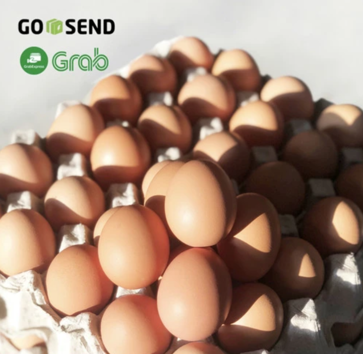 Telur / Telor 1 ikat | 15 kg | Lazada Indonesia