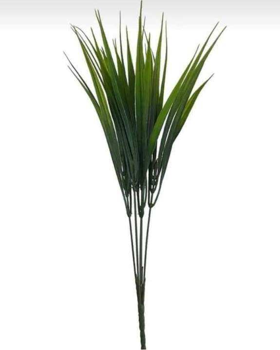Daun Padi | Lazada Indonesia