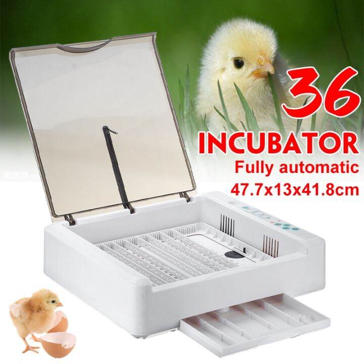 Hatchery Incubator Farm Brooder Machine 36 Egg Electronic Automatic ...