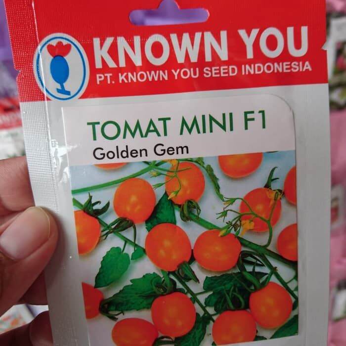 Benih Biji Tomat Mini Tomat Cherry Golden Gem Known You Seed | Lazada ...