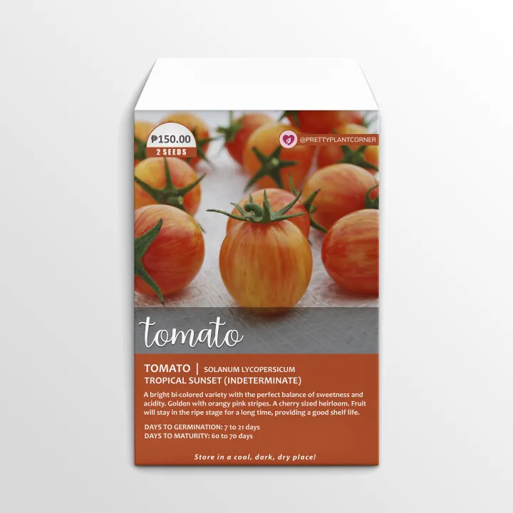 Tropical Sunset Tomato Seeds | Lazada PH