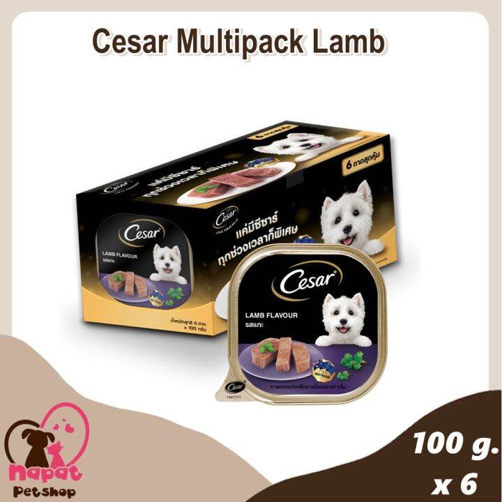 อาหารเปียกสุนัข Cesar Multipack Lamb 100 g x 6 : dog wet food ซีซาร์ ...