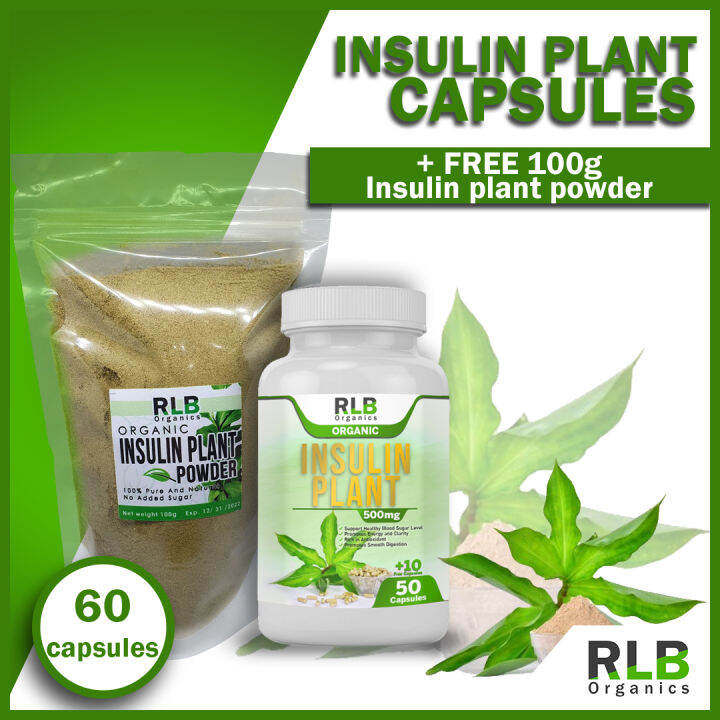 Pure Organic Natural Insulin Capsules (60 Capsules) + FREE 100 grams ...