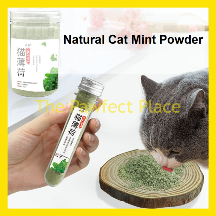 Natural Catnip Mint Powder Treat Grass 50ml Powder Pudina Kucing | Lazada
