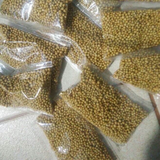 Osmocote (18-6-12) 50g | Lazada PH