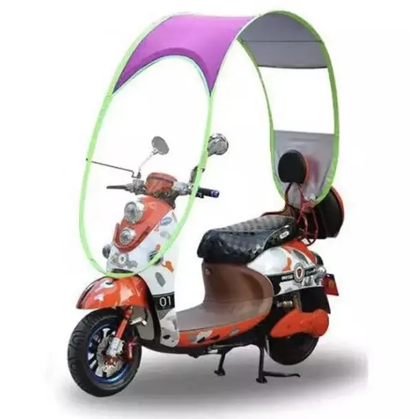 Motorcycle Bike E-Bike Canopy Umbrella Cover(Random Color) | Lazada PH