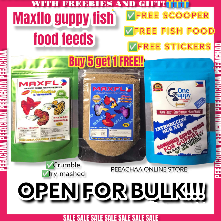 Maxflo Probiotic fish foods 60g crumble or frymashed | Lazada PH