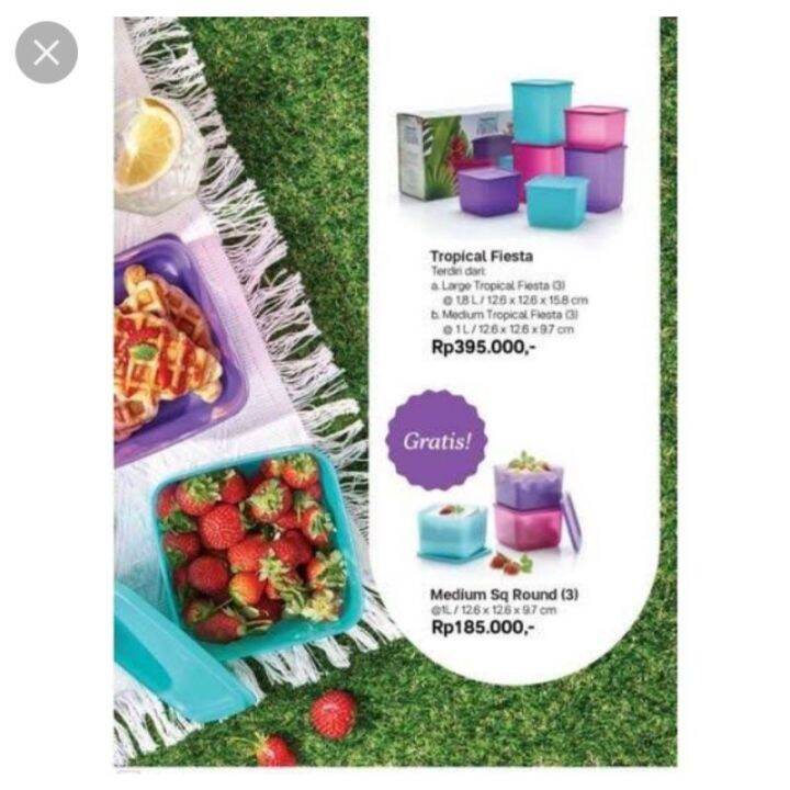 Tropical fiesta set tupperware ,/ toples snack set tupperware isi 9 ...