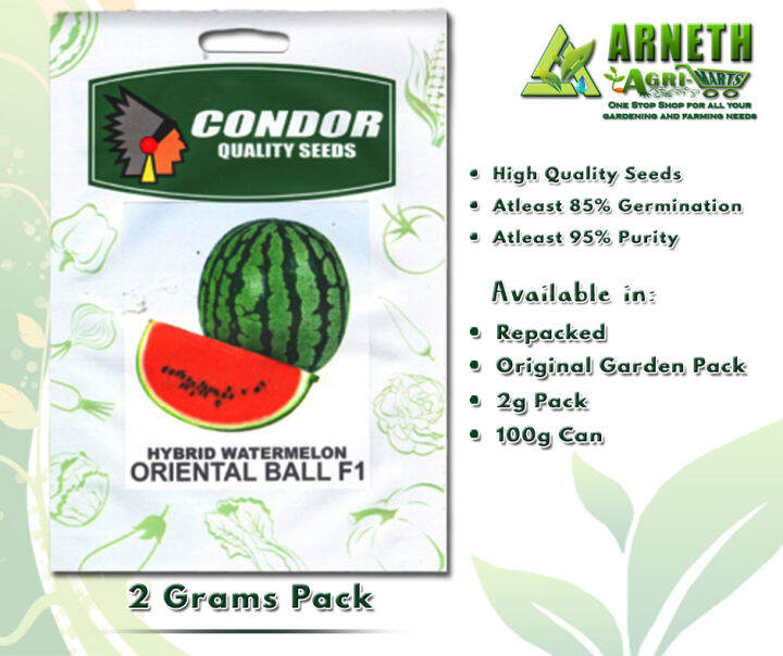 HYBRID WATERMELON ORIENTAL BALL SEEDSFOR PLANTING BY CONDOR | Lazada PH
