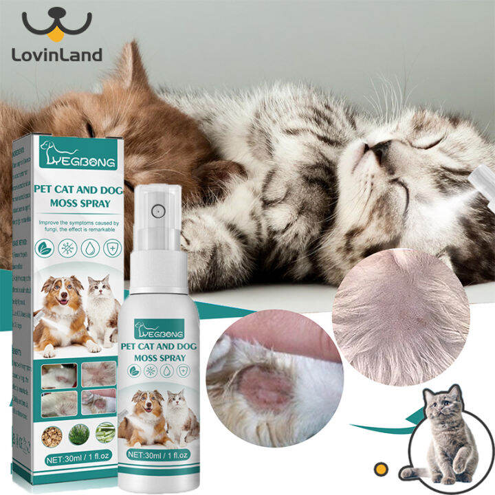 Lovinland Cat Ringworm Special Purpose Chemicals Care Cat Moss Removal ...