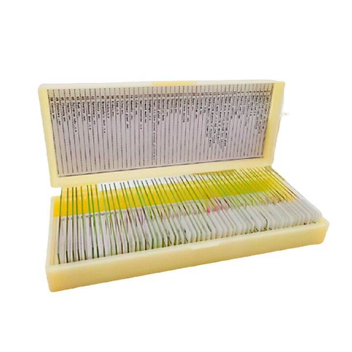 SALE！50pcs Animal Human Cell Histology Prepared Glass Slides Microscope ...