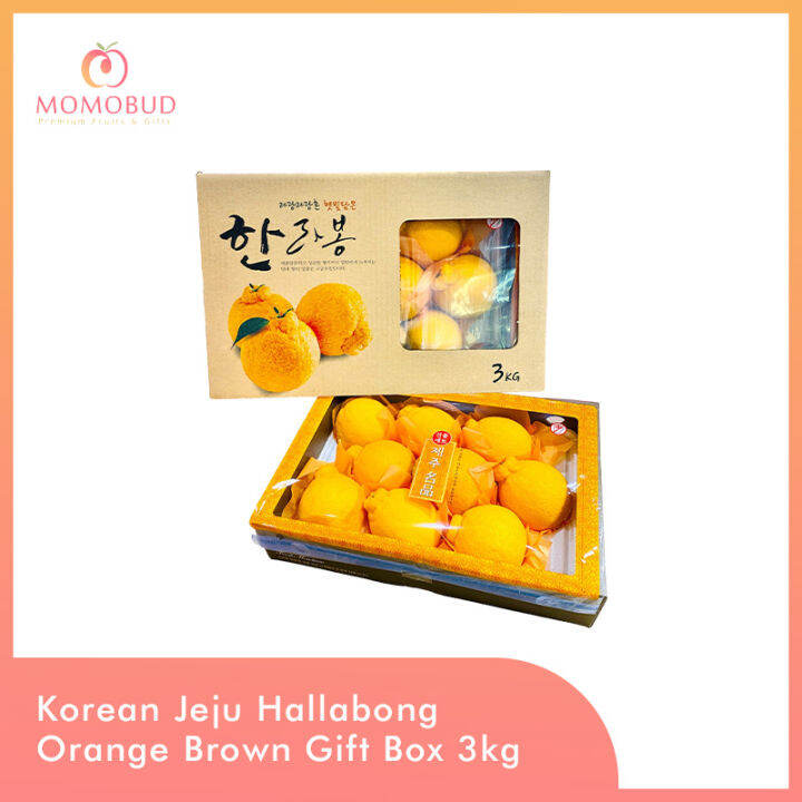 Korean Jeju Hallabong Orange Gift Box 3kg | Lazada Singapore