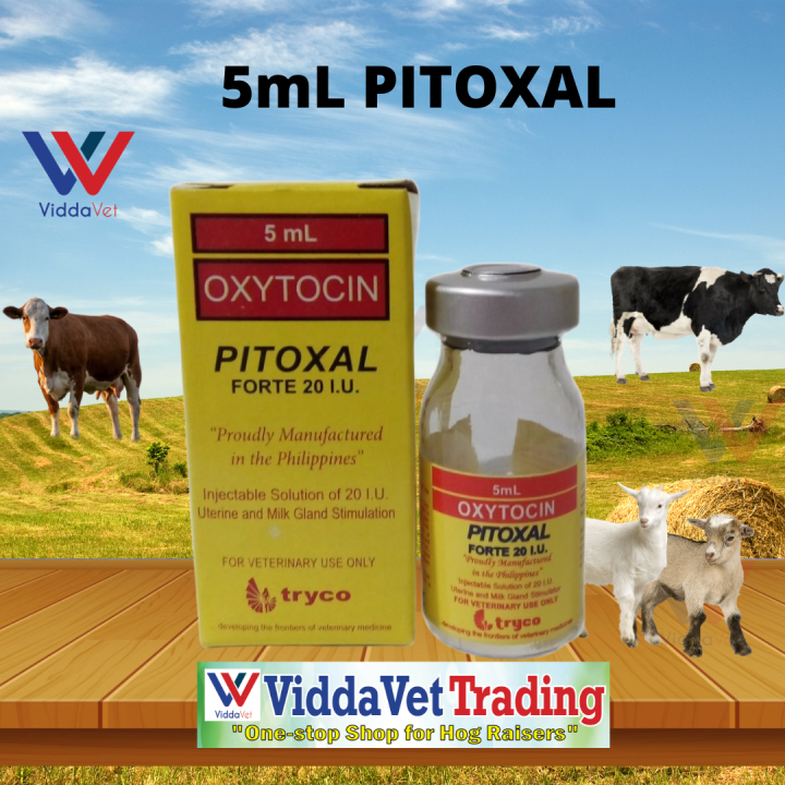 Oxy.tocin (Pampa.iri) sa Baboy 5-ml PITOXAL Oxy.tocin para sa inahing ...
