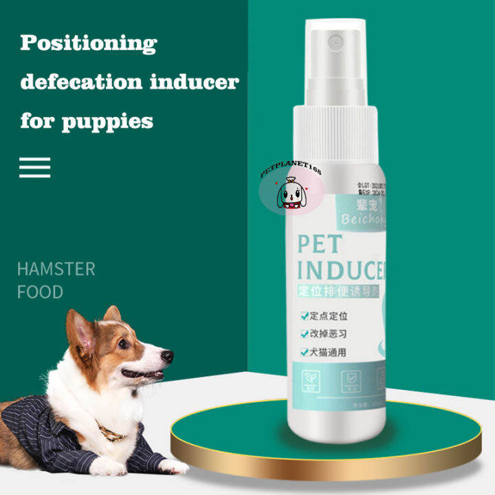 Dog Training Potty Spray Pet Defecation inducer Dog Pee Inducer Guided ...