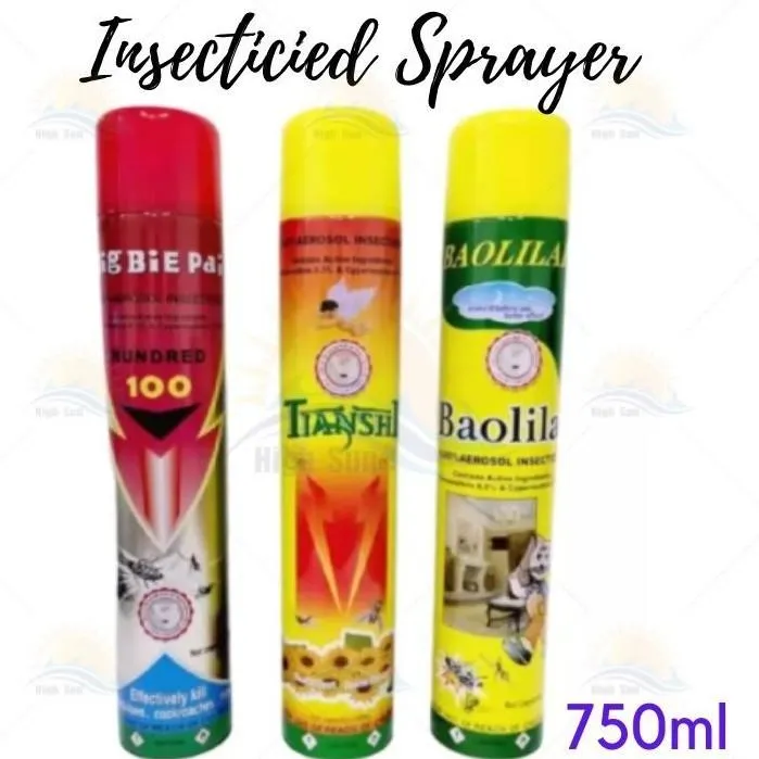 THE bright life HS Aerosol Insect Spray Big Bottle 750ml Insect Killer | Lazada PH