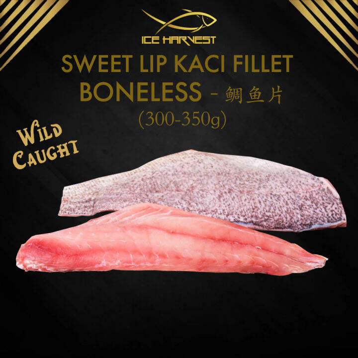 Boneless Sweet Lip Kaci Fillet 300-350g Wild Caught Fresh Frozen 马头卢鱼片 ...