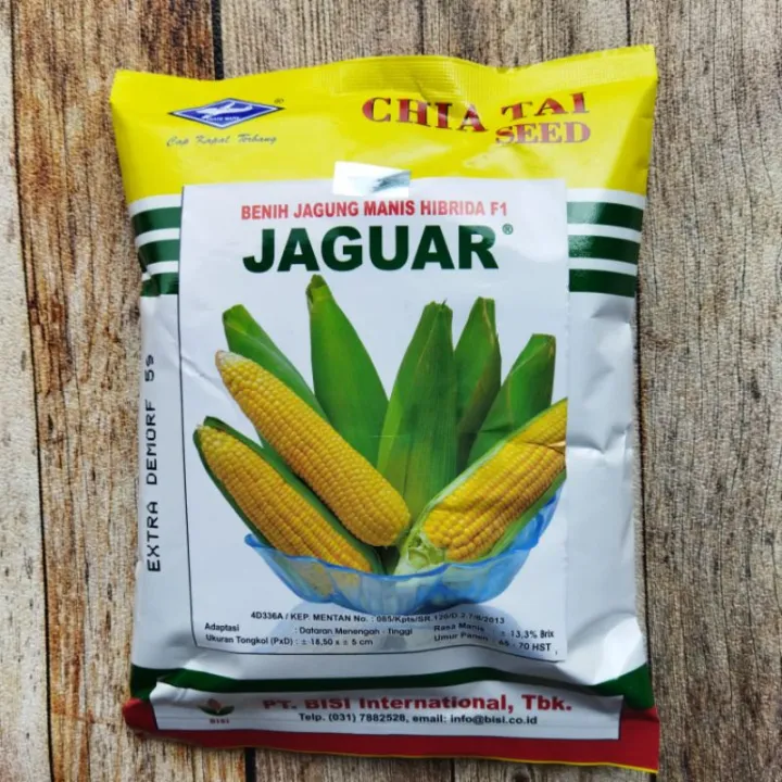 Benih jagung manis hibrida f1 JAGUAR PT BISI INTERNASIONAL( isi sekitar : 1.700 biji ) | Lazada ...
