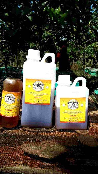 Madu Asli Murni Nektar Multiflora 1kg Madu Hutan Asli | Lazada Indonesia