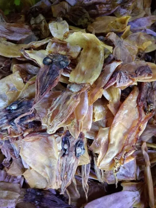 small dried pusit 1 kilo 800 | Lazada PH