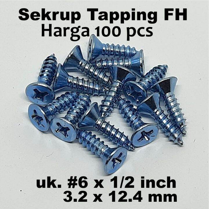 Sekrup FH 6 x 1/2 " per 100 pcs Tapping FAB Skrup 3 x 12 mm obeng plus | Lazada Indonesia