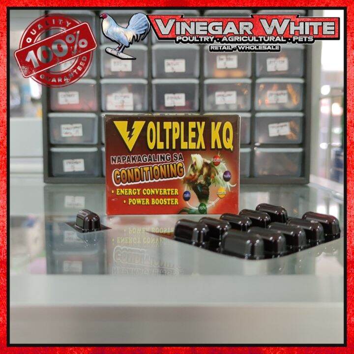 Voltplex KQ Conditioning Tablet / Vitamins and Dietary Supplement for ...