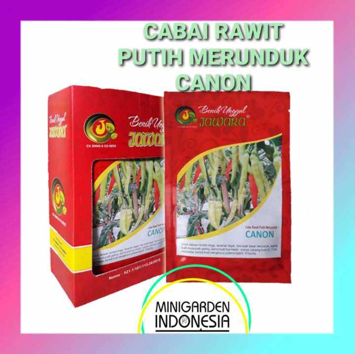 Cabai Rawit Putih Merunduk CANON PACK 10 GRAM Benih Jawara F1 bibit ...