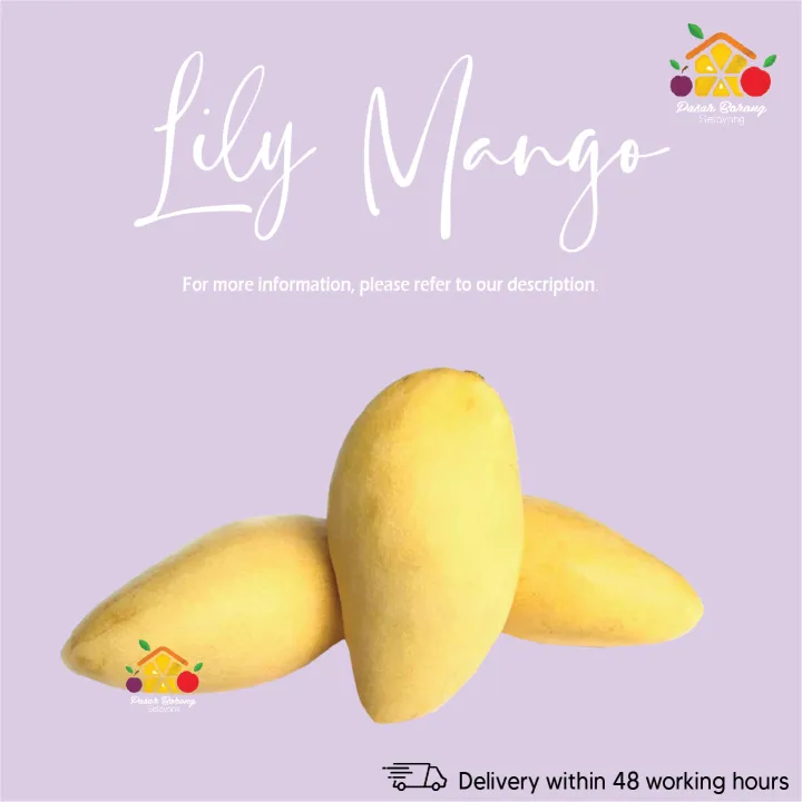 [PBS Pasar Borong Selayang] Fresh Lily Mango / Buah Mangga Lily Murah ...