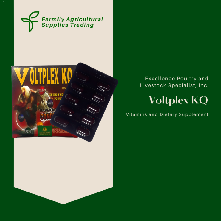 Excellence Voltplex KQ | Lazada PH