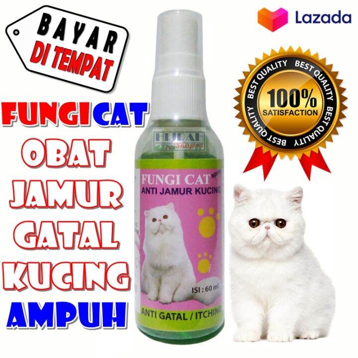 Obat Kucing Obat Jamur Kucing Scabbies Luka Korengan Infeksi Kulit ...