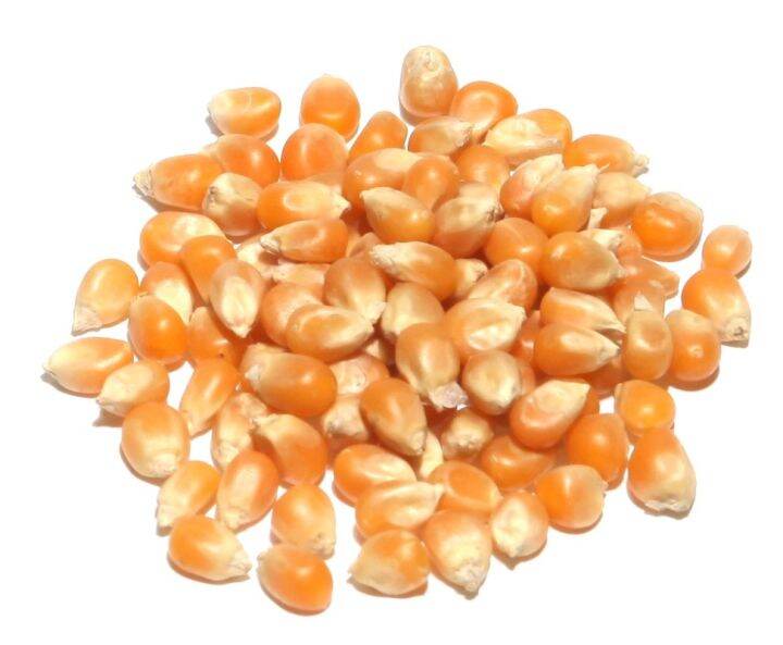 Pop corn ,500Gm and 1000Gm | Lazada