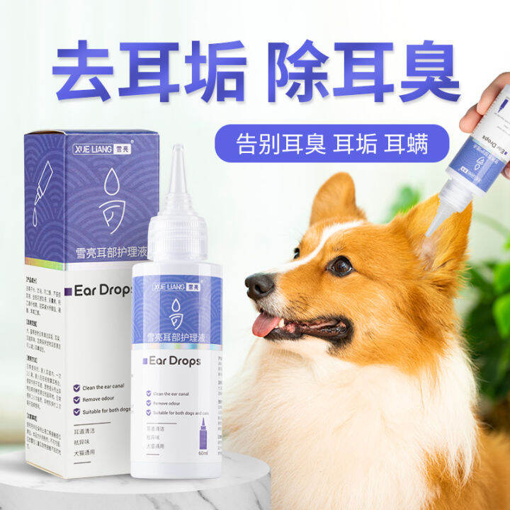 Pet ear drops, dog ear mites, itchy ears, anti-inflammatory Teddy cat ...