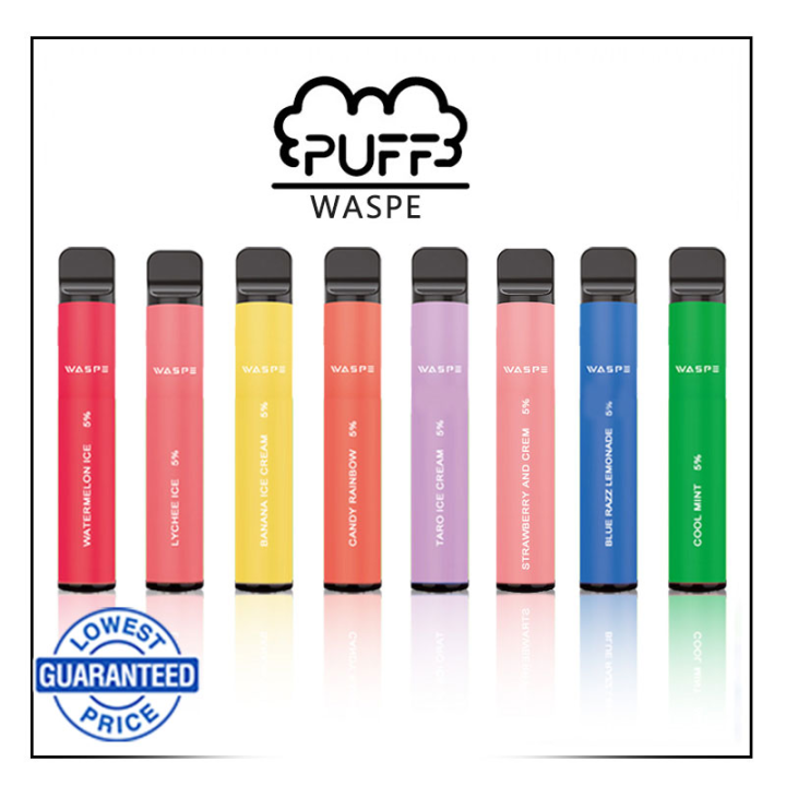 100% Legit waseo 800 Pu Bar PLUS smoke RouJiang Case Protective Cover ...