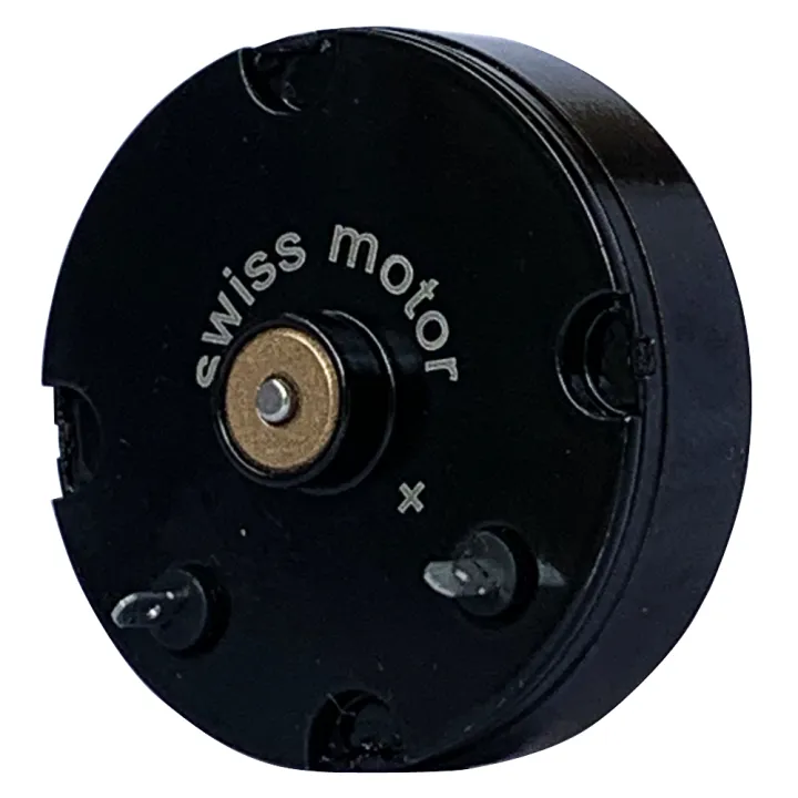 2607 Swiss Flat Tattoo Motor For Rotary Machine Beauty Instrument ...