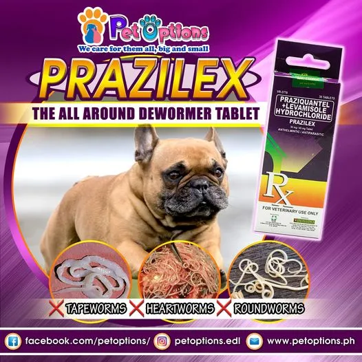 [FCR AGRIVET] Prazilex for Pets / Anthelmintic / Antiparasitic / Dog ...