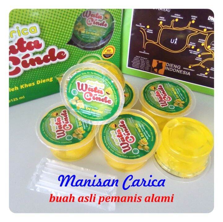 manisan carica buah asli dieng banjarnegara dengan pemanis alami 100% ...