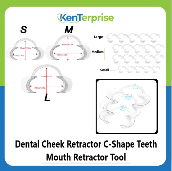 Dental Cheek Retractor C-Shape Teeth Mouth Retractor Tool | Lazada PH