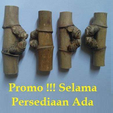 Hand Made Pring Pethuk Bambu Sudah Modifikasi Bambu Temu Pring Petuk ...