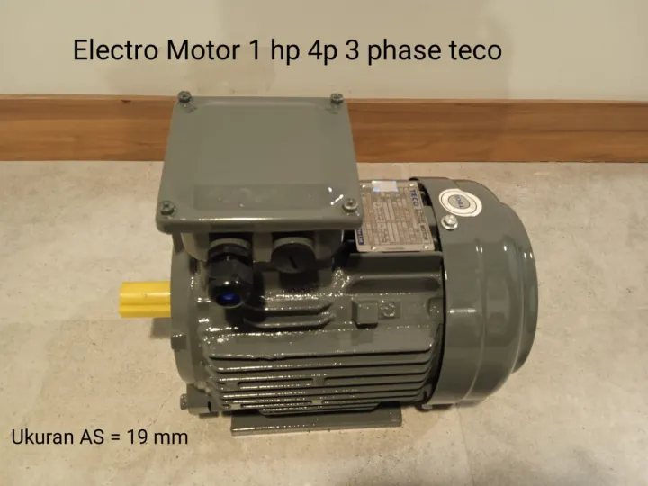 TECO Dinamo Listrik Electric Motor Elektro Motor 1HP 1 HP 4P 3 Phase | Lazada Indonesia
