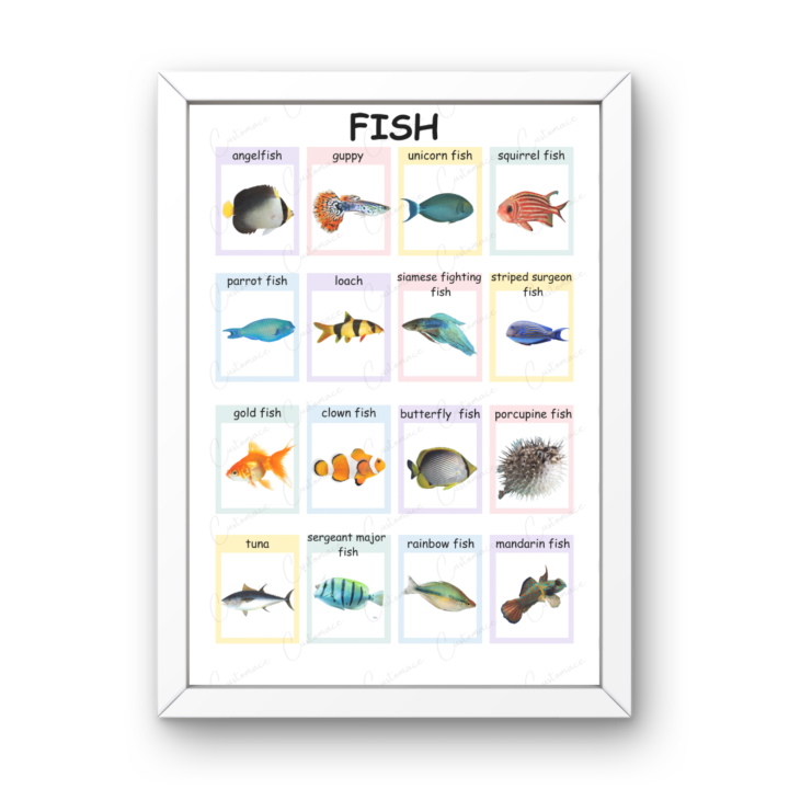 PASTEL FISH LAMINATED EDUCATIONAL LEARNING WALL Chart for Kids ...