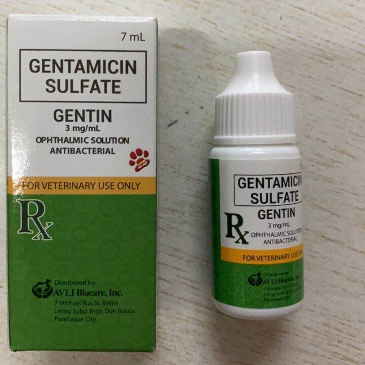 Gentin Eye Drops for Dogs and Cats | Gentamicin Sulfate (Antibacterial ...