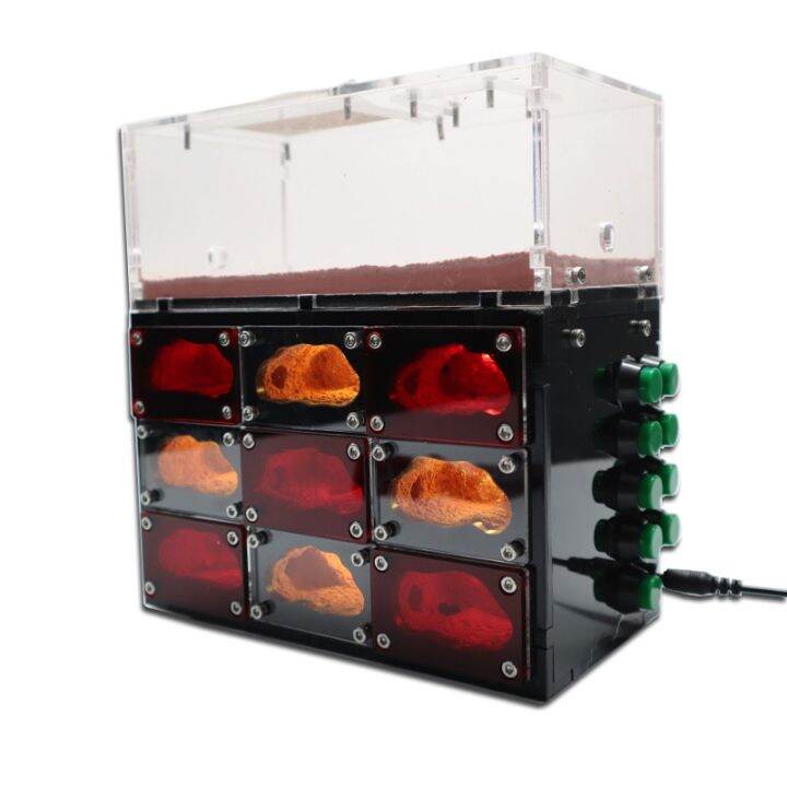 Ecological Ant Farm With Independent Lights Control Anthill Farm Ants ...